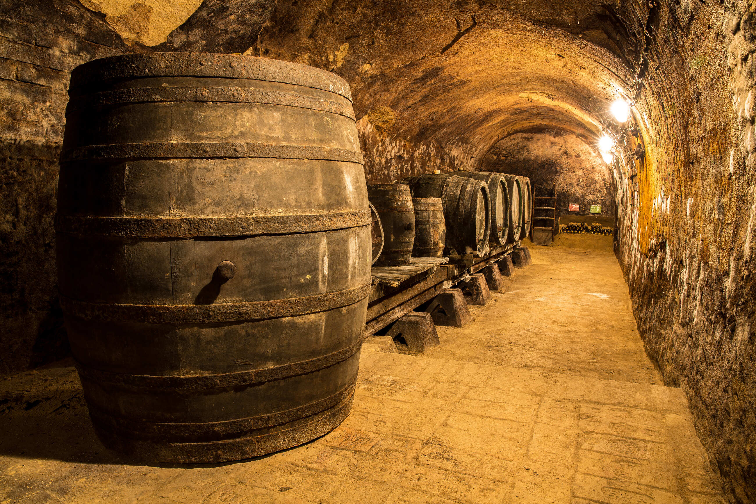 Is Whiskey Fungus Dangerous? » Baudoinia & Whiskey Barrel Mold – Flaviar